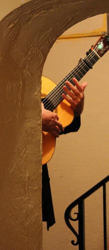 Steve Mullins Music, Flamenco Guitar, Mandolin, Boulder, Denver Colorado